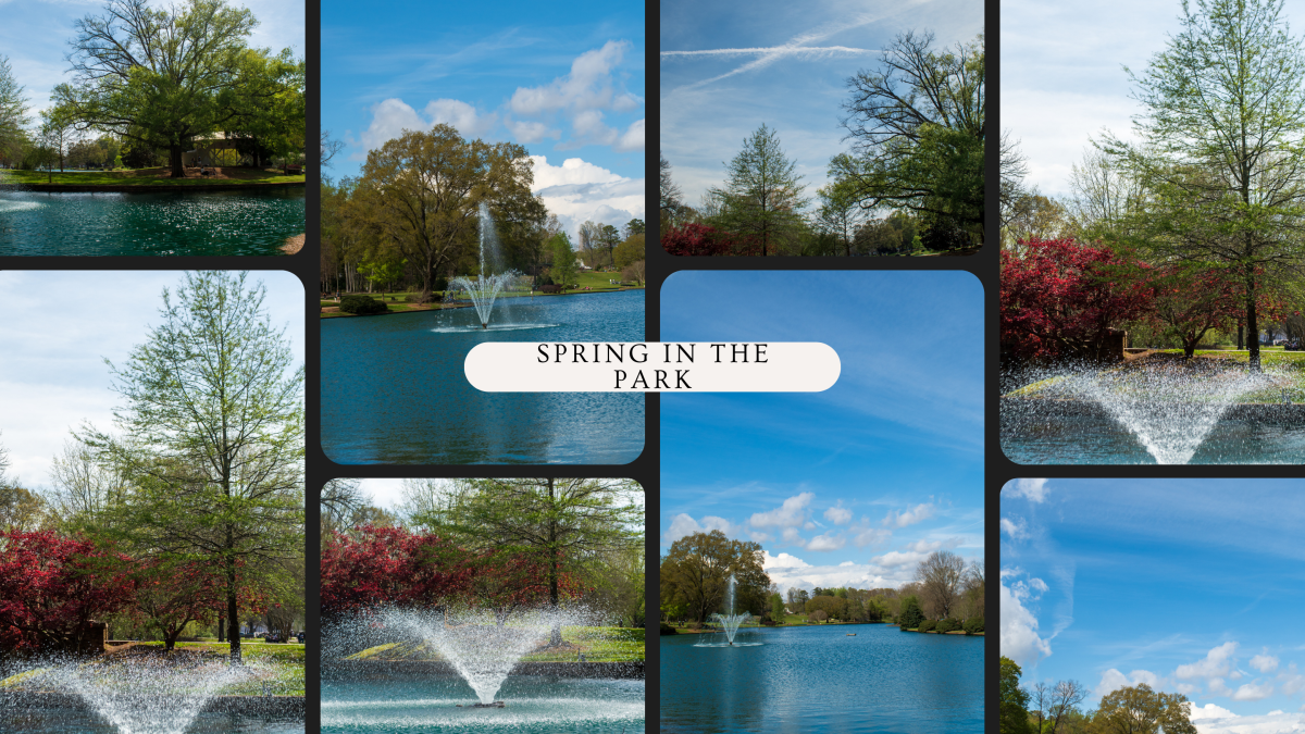 Spring in the Park – Throwback 2023 – Through Griffin’s Lens